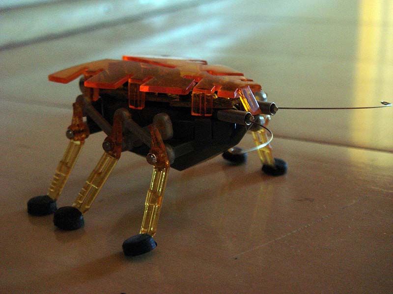 Bug robot | Aleph Naught & the Null Set