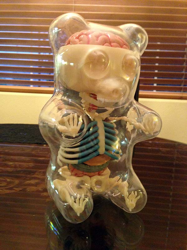 Gummi Bear Anatomy | Aleph Naught & the Null Set